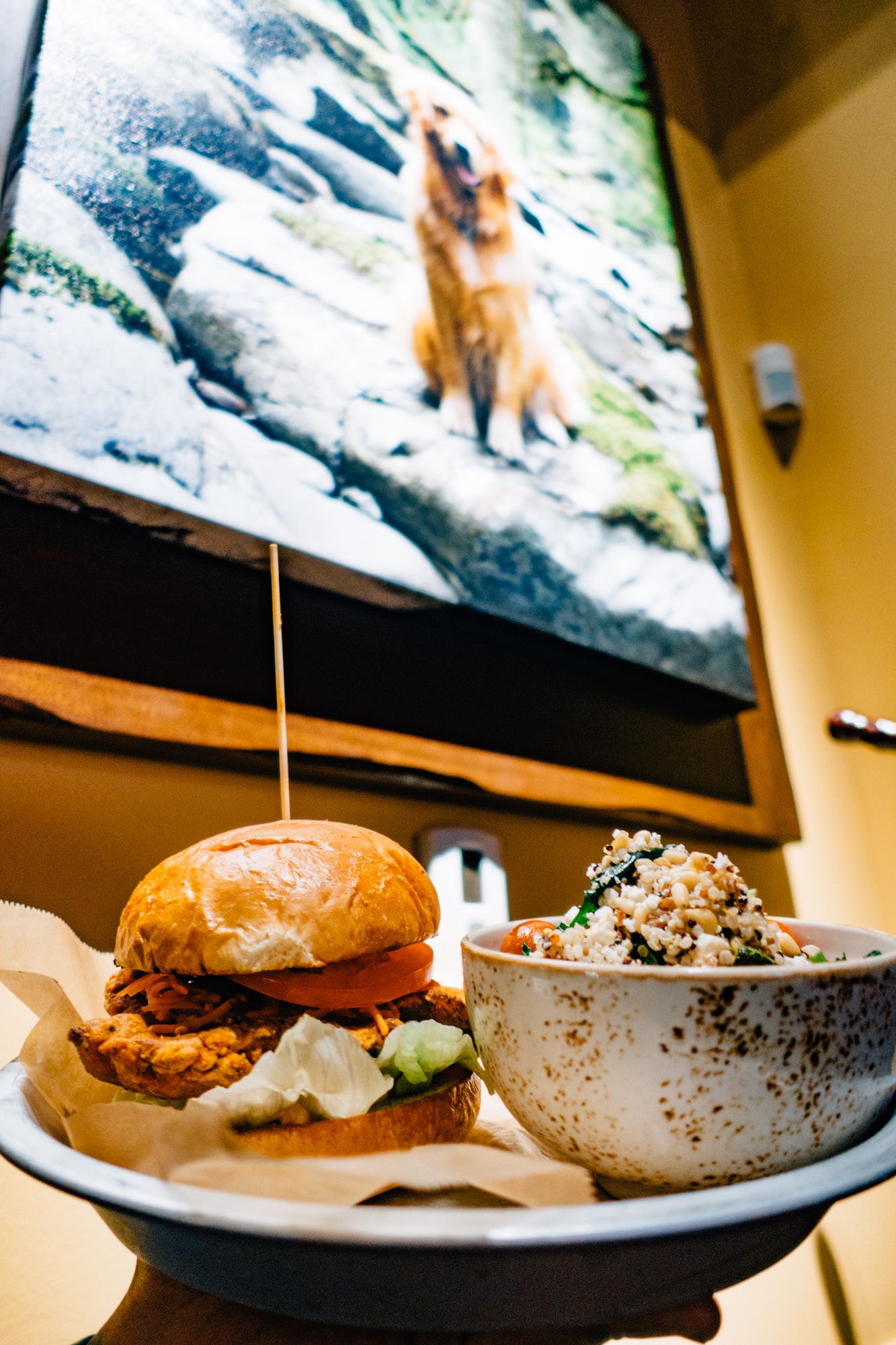 Lazy Dog Restaurant & Bar Westminster Review | New Denizen