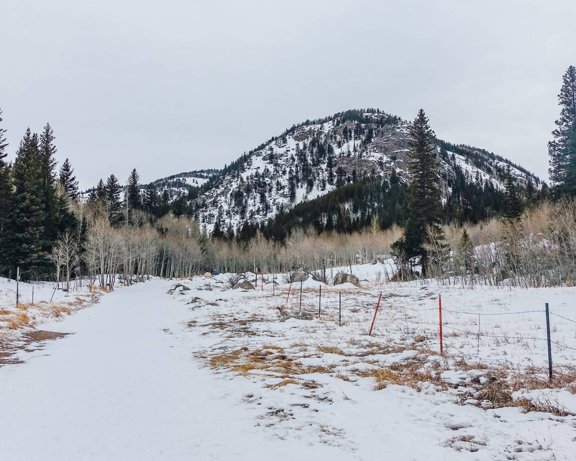 Great Snowshoeing Trails Near Denver | New Denizen