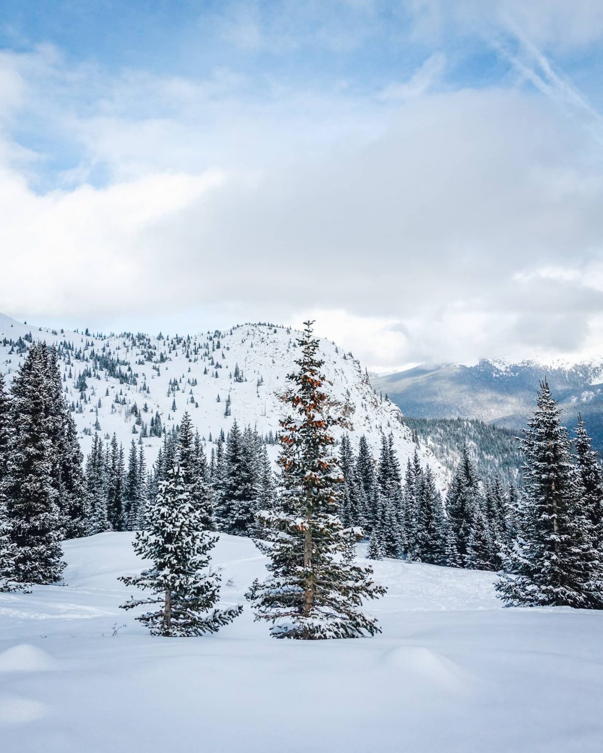 Great Snowshoeing Trails Near Denver | New Denizen